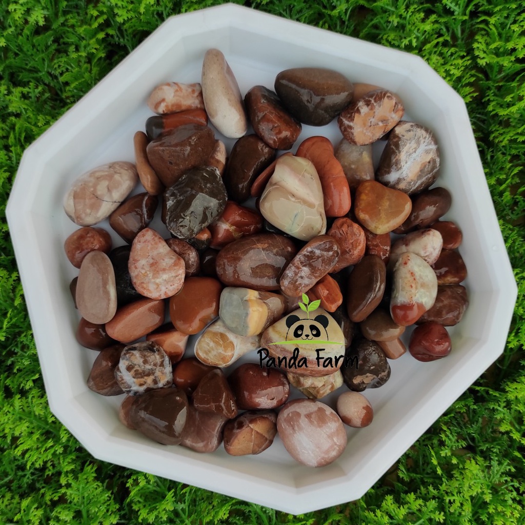 Jual Batu Alam Koral Tabur Kerikil Hias Merah Hati - 1 Kg | Shopee ...