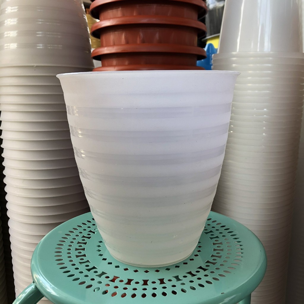 Jual Pot TP121B 21 cm Bening Transparan (Mirip Tawon Pirus) | Shopee ...