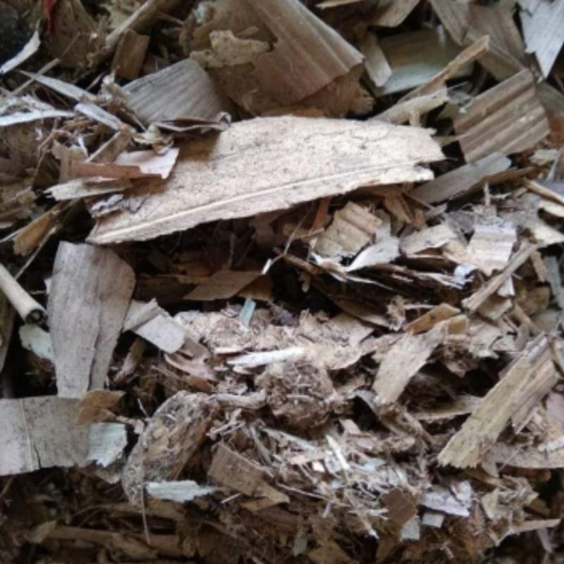 Jual humus bambu permentasi pack 1 kg | Shopee Indonesia