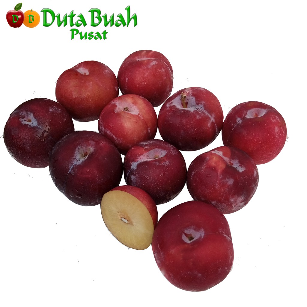 Jual DUTA BUAH Plum Merah (900g-1kg/11-13PCS) | Shopee Indonesia