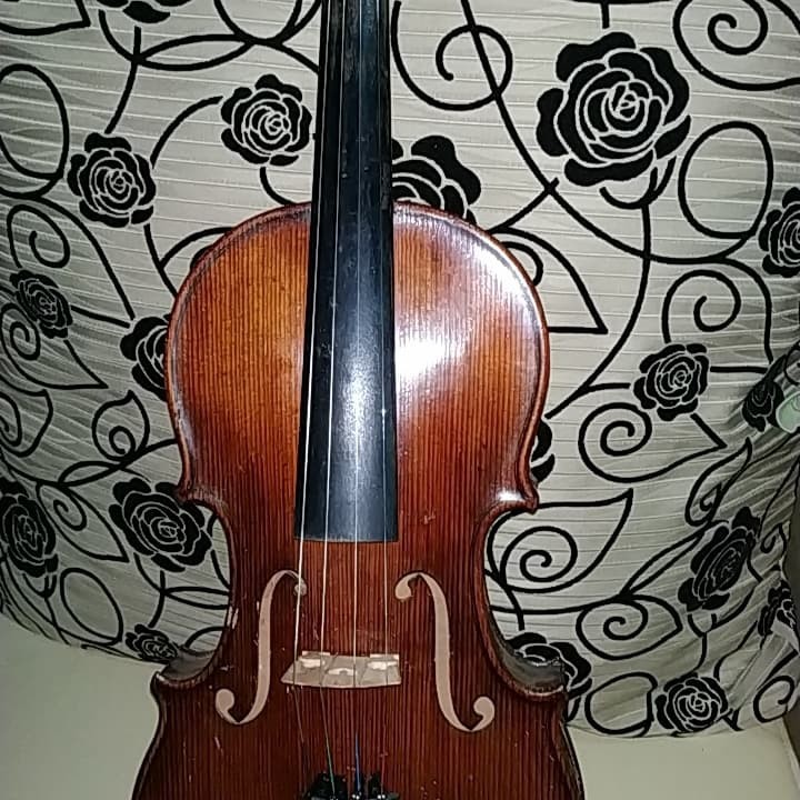 Jual Biola tua / langka kayu kering suara karakter umur diatas 100 th ...