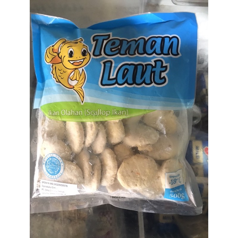 Jual Teman Laut Scallop 500gr | Shopee Indonesia