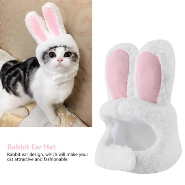 Jual Rabbit Hat - Topi kelinci hewan anjing kucing cat dog | Shopee ...