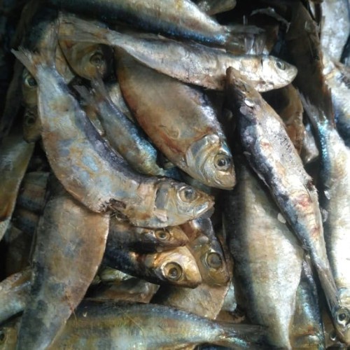 Jual IKAN ASIN REBUS TANJAN 1KG | Shopee Indonesia
