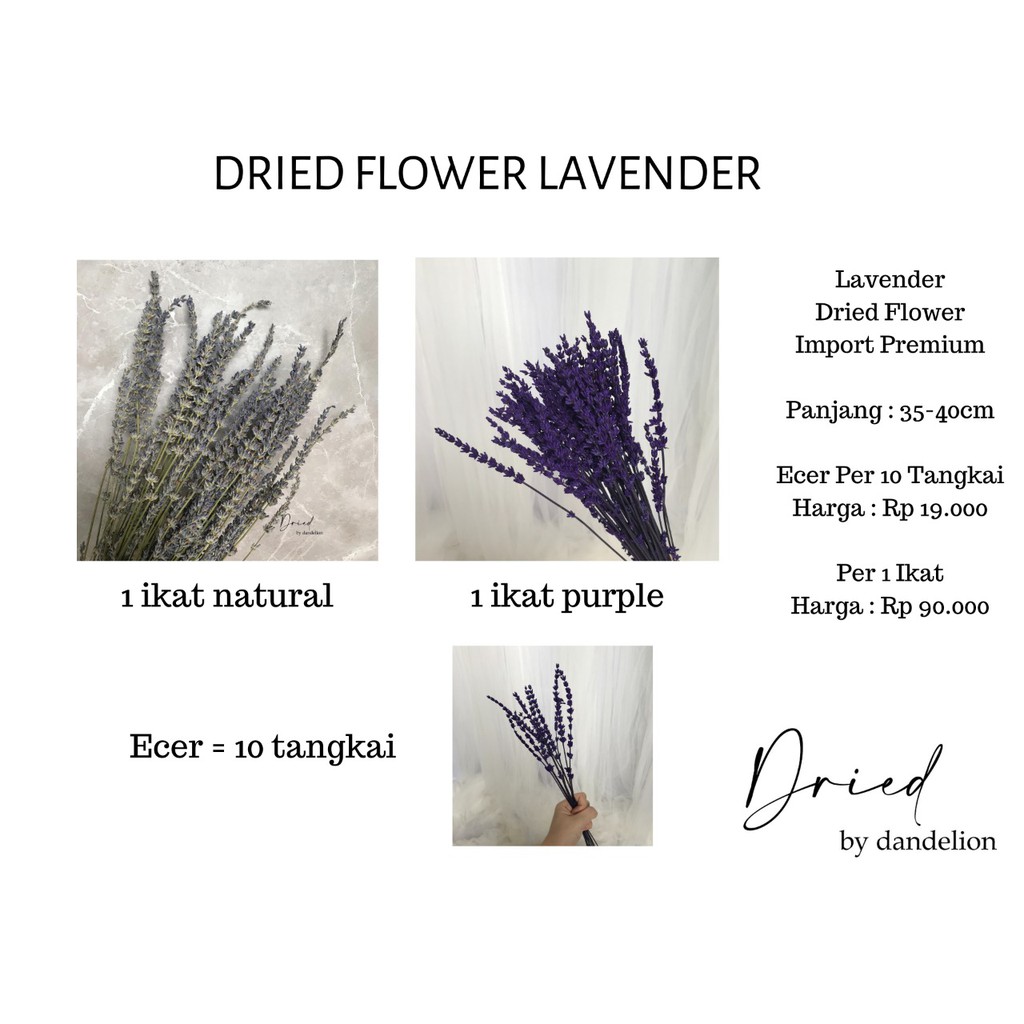 Jual LAVENDER DRIED FLOWER BUNGA KERING ECER PER 10 TANGKAI / PER 1 ...