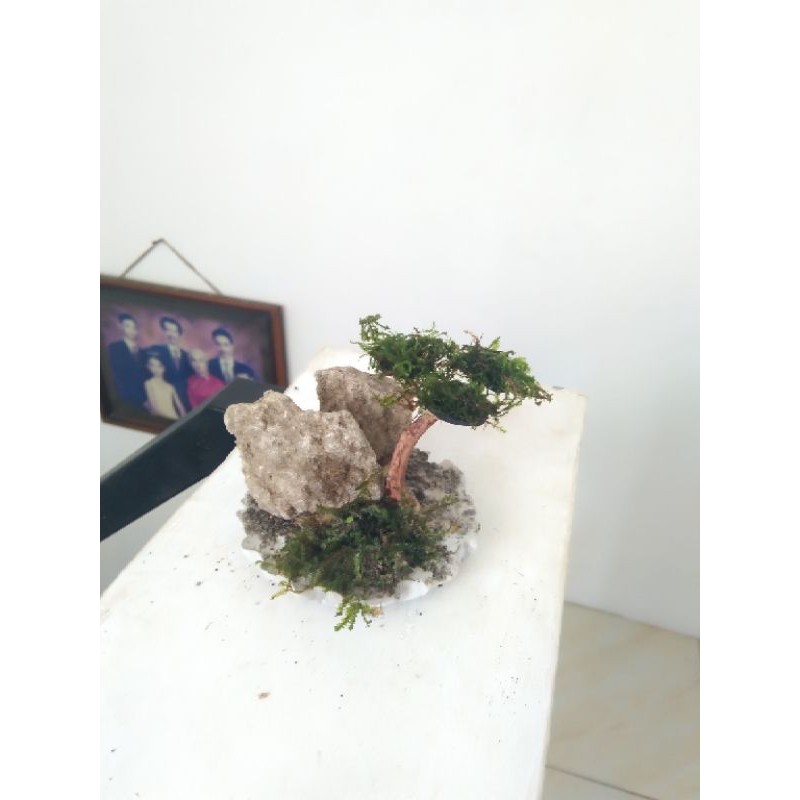 Jual hardscape mini aquascape | Shopee Indonesia Jual hardscape mini aquascape | Shopee Indonesia