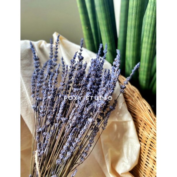 Jual DRIED LAVENDER / BUNGA LAVENDER KERING / ENGLISH LAVENDER | Shopee ...