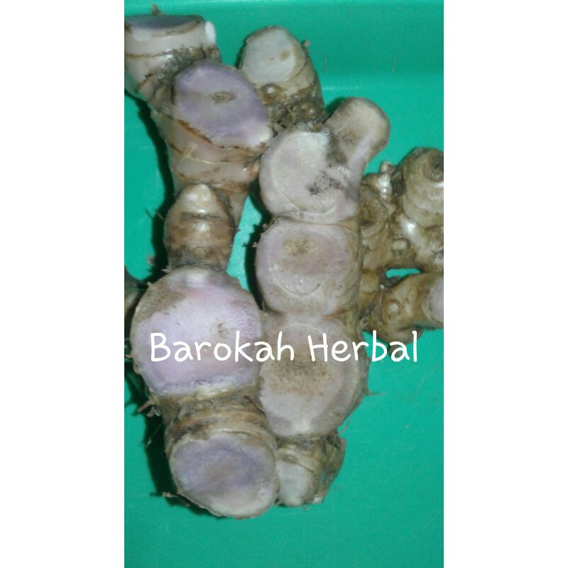 Jual Panglai Hitam / Bangle Hitam | Shopee Indonesia