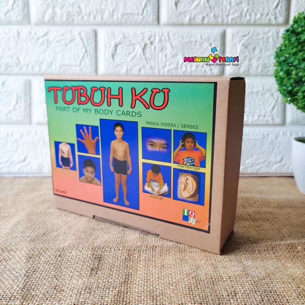 Jual Mainan Terapi IQ DEV Kartu Tubuhku Kartu Terapi Wicara ABK Flashcard Kartu Bicara | Shopee ...
