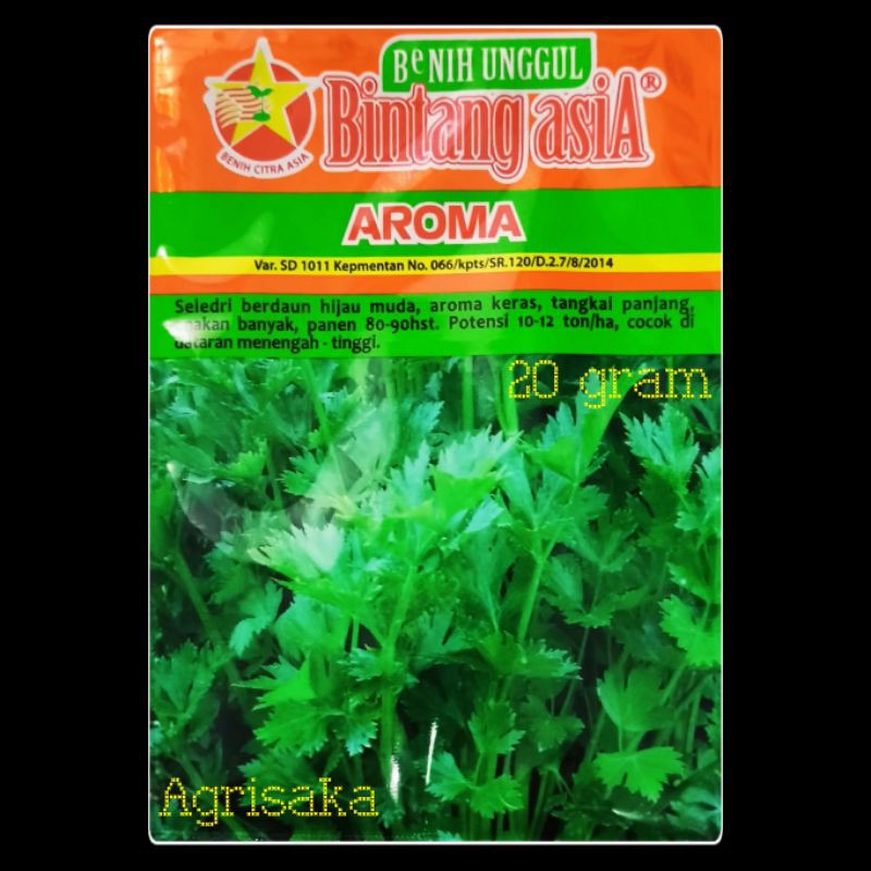 Jual Benih Seledri Daun Sop AROMA 20 Gram - Bintang asiA | Shopee Indonesia