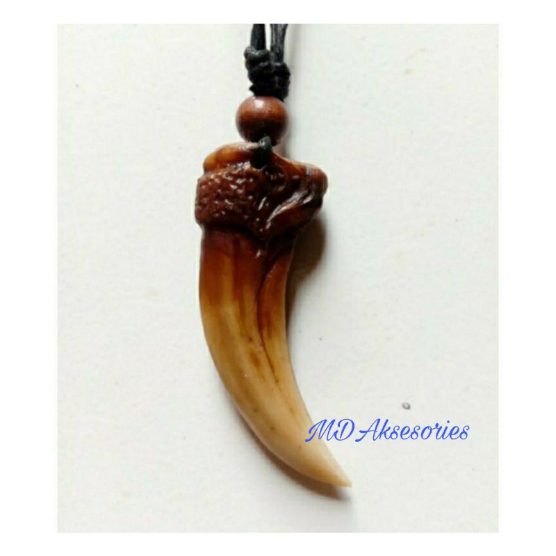 Jual Taring harimau macan kalung tali hitam murah replika | Shopee ...