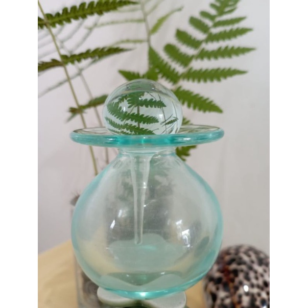 Jual Oil Spa Glass Bottle Display | Shopee Indonesia