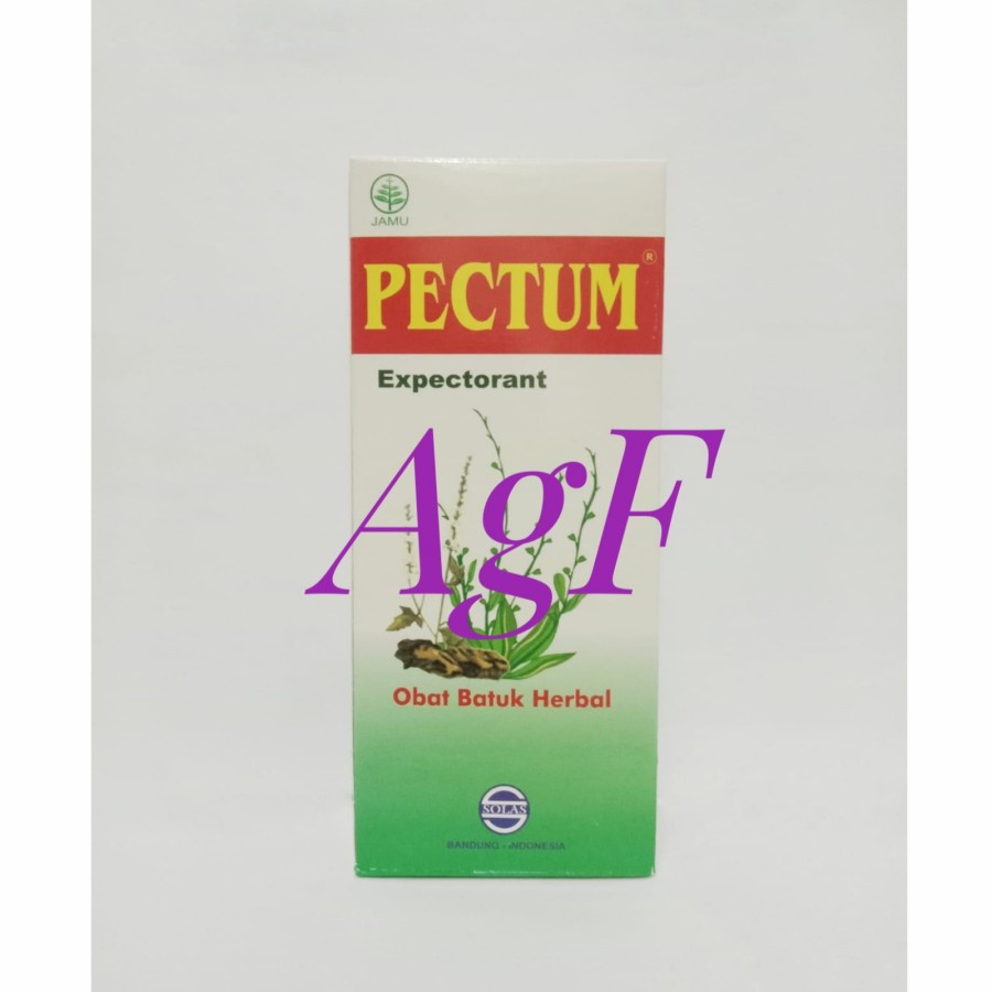 Jual Pectum Expectorant Syrup 120mL (Solas) | Shopee Indonesia