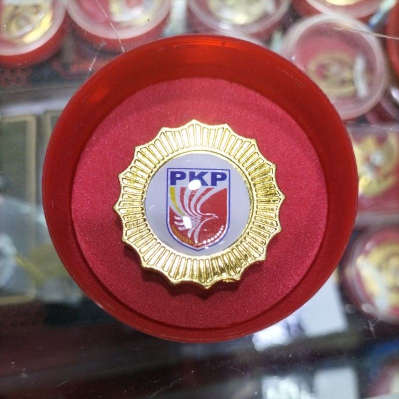 Jual pin partai pkp magnet bahan kuningan | Shopee Indonesia