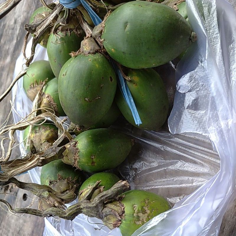 Jual Buah Pinang Jambe segar | Shopee Indonesia