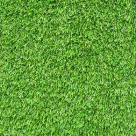 Jual ۞ rumput jepang 1x1 meter | Shopee Indonesia