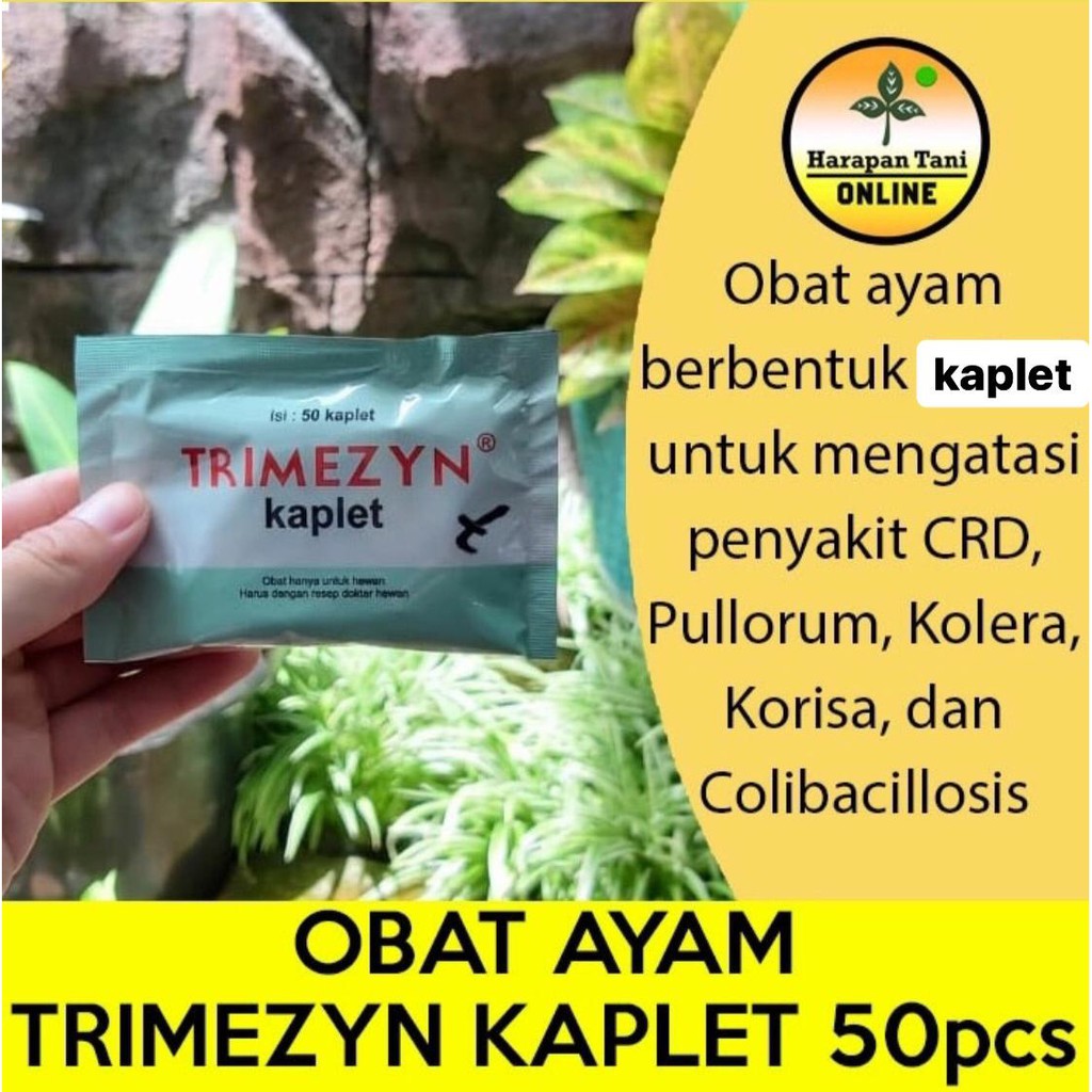 Jual Trimezyn 50 Kaplet | Obat Ayam | Mengatasi CRD, Ngorok, Kolera ...