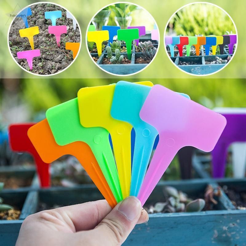 Jual Penanda Label Tanaman (Plant Label Tag) Lebel Tanaman Model T Kualitas Tebal | Shopee Indonesia