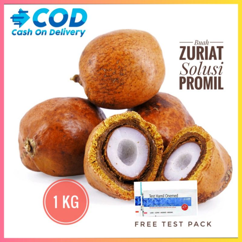 Jual Buah Zuriat PROMIL 1kg / Free Test Pack / Buah Zuriat Mesir Ori ...