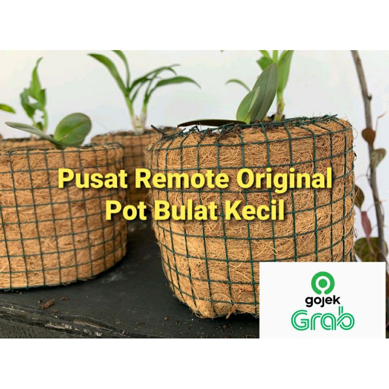 Jual POT BUNGA ANGGREK POT TANAMAN MAWAR BULAT KECIL POT MEJA | Shopee ...