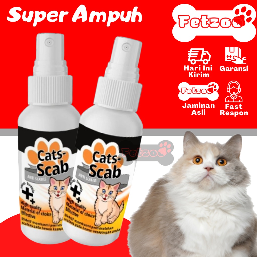 Jual Obat Kucing Anti Kulit Infeksi Gatal Scabies Kudis Gatal FETZOO ...