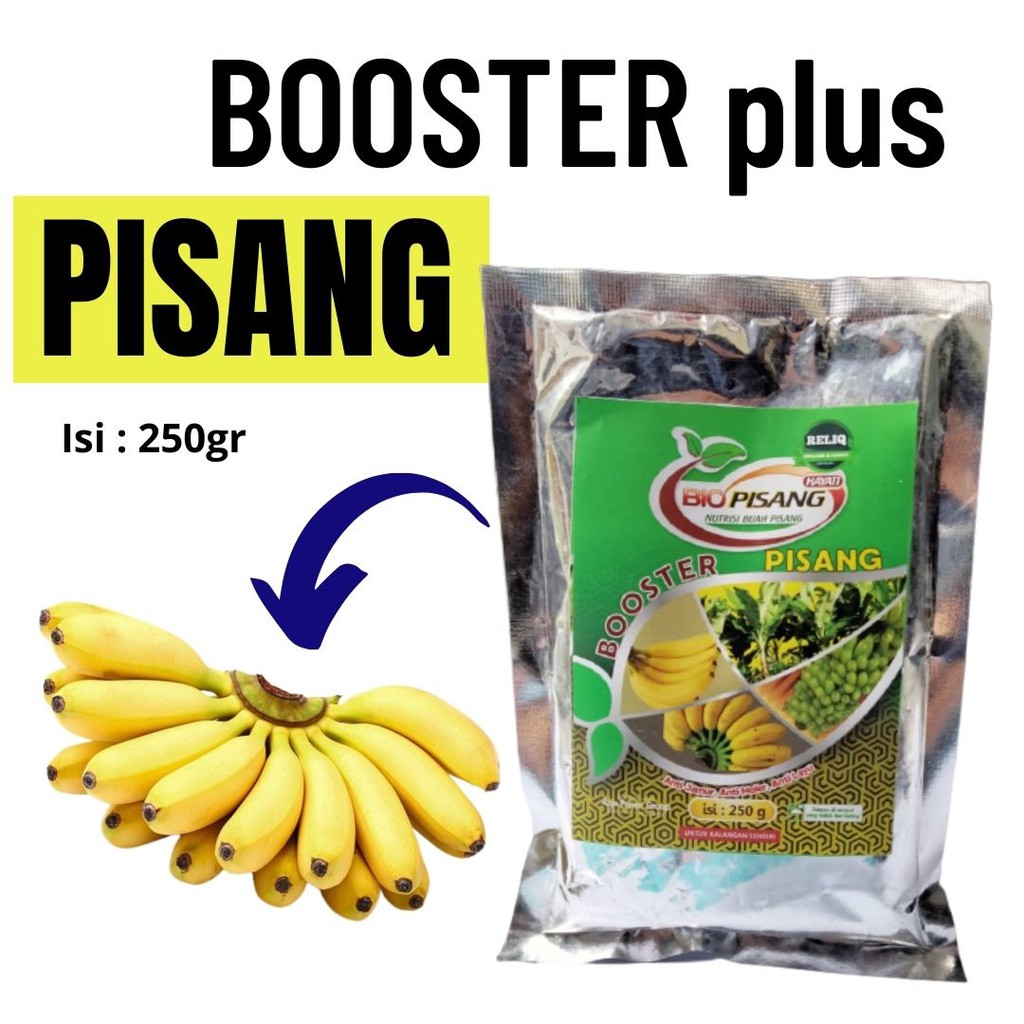 Jual Pupuk Booster Buah Pisang Agar Cepat Besar Manis, Pupuk Hayati Pisang Mas Cegah Busuk Buah ...