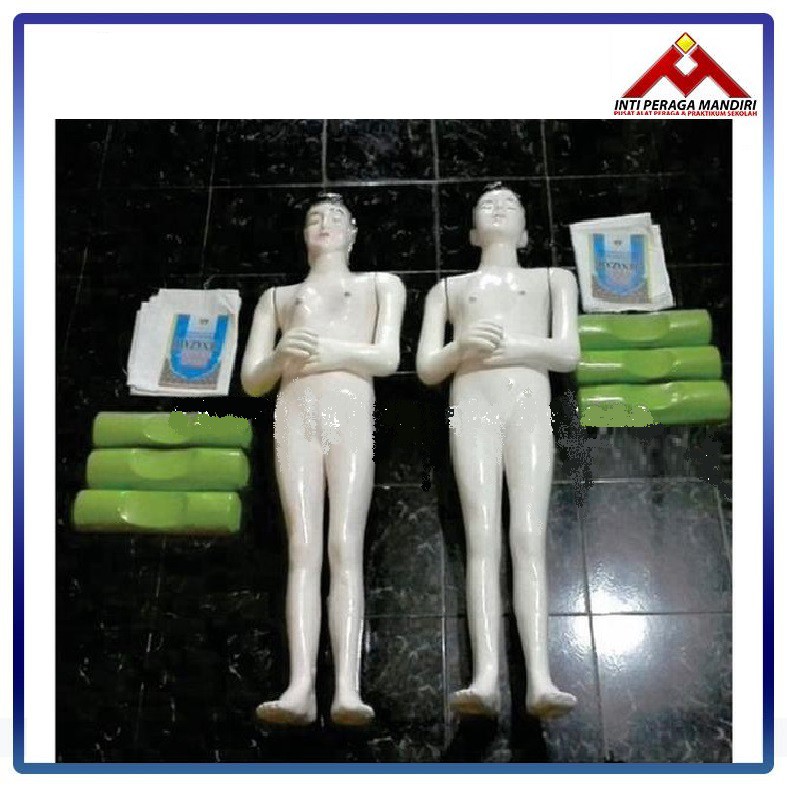 Jual IntiPeragaMandiri - Alat Peraga Torso Manekin Model Jenazah - Alat ...