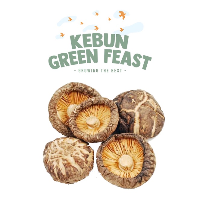 Jual Jamur Hioko | Shopee Indonesia