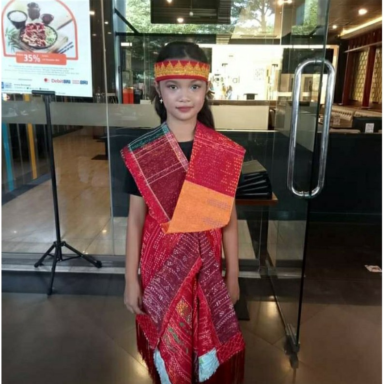 Jual Pakaian Kostum Adat Batak Anak Perempuan Baju Adat Anak Dari Ulos Sadum Batak Toba | Shopee ...