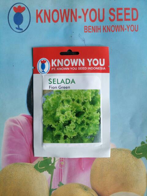 Jual Benih selada hijau fion green 5gr | Shopee Indonesia