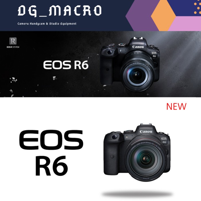 Jual CANON EOS R6 KIT RF24-105mm F4L IS USM - GARANSI RESMI | Shopee ...