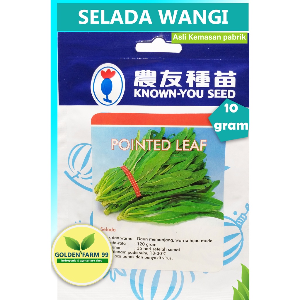 Jual Benih selada SIOMAK Pointed Leaf 10gr atau selada wangi Kemasan ...