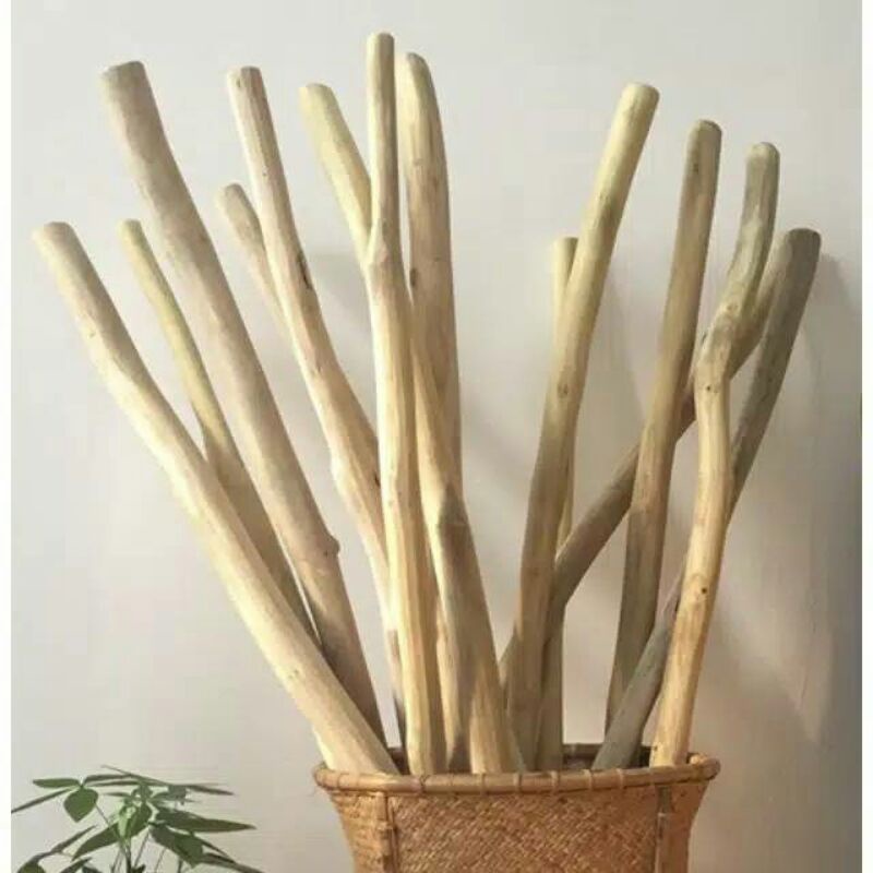 Jual Kayu Ranting Jati / Kayu Macrame Diameter 2-3 cm | Shopee Indonesia