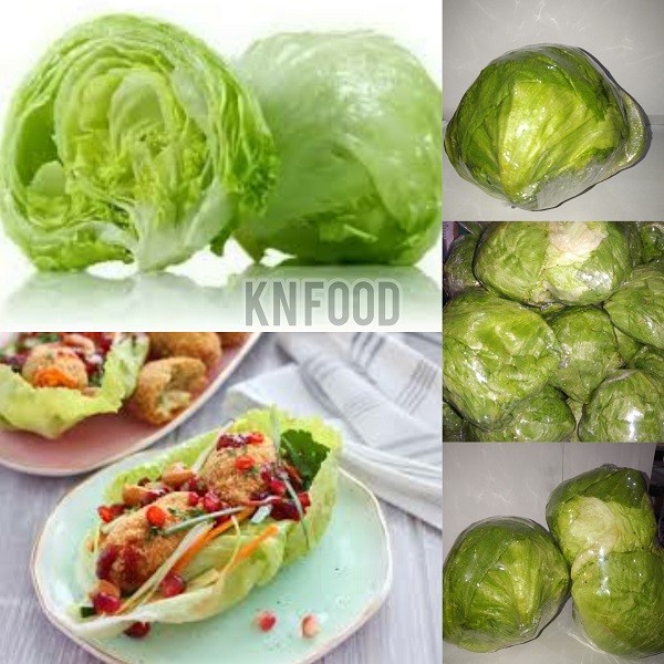 Jual letuce 1 Kg Segar | Shopee Indonesia