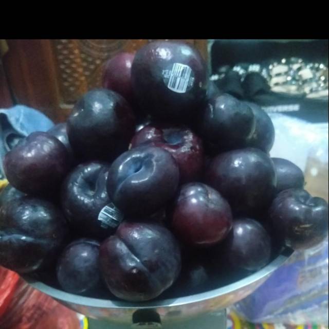 Jual Plum Hitam Ausie Segar 1kg | Shopee Indonesia