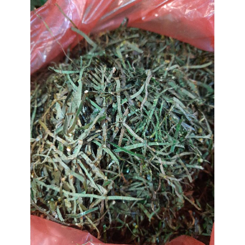 Jual daun pangi iris 500 gram | Shopee Indonesia
