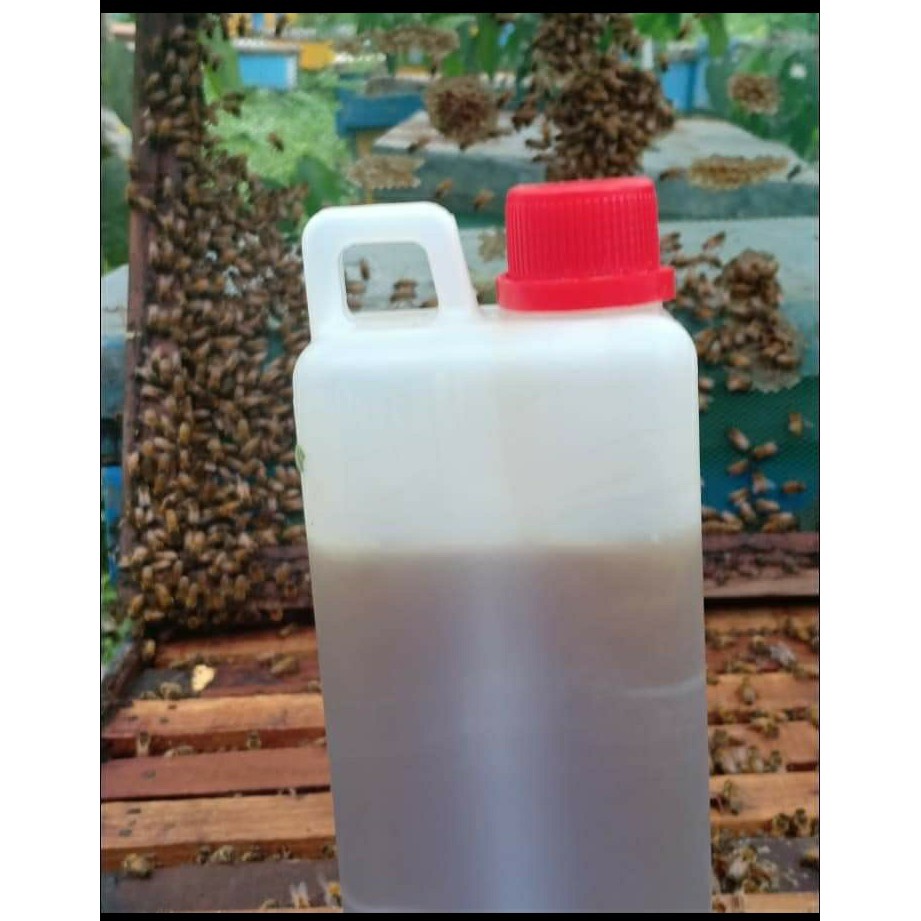 Jual MADU Kapuk / Randu (berat 1 kg) | Shopee Indonesia