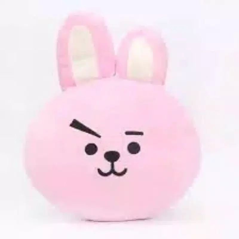 Jual Bantal Boneka BT21 BTS Unofficial Ukuran 40cm cooky shooky tata ...