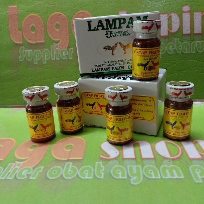 Jual obat bubul stap fight p bubuk powder bubul telapak ayam bubul ...