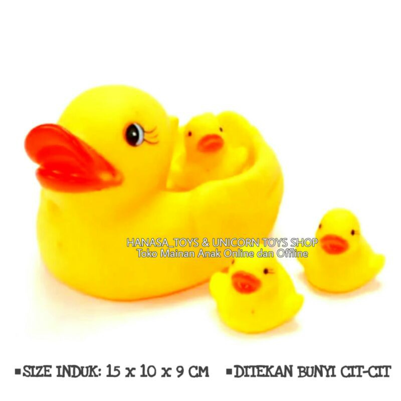 Jual Encit Bebek Kuning Kualitas Impor Encit induk dan anak bebel ...