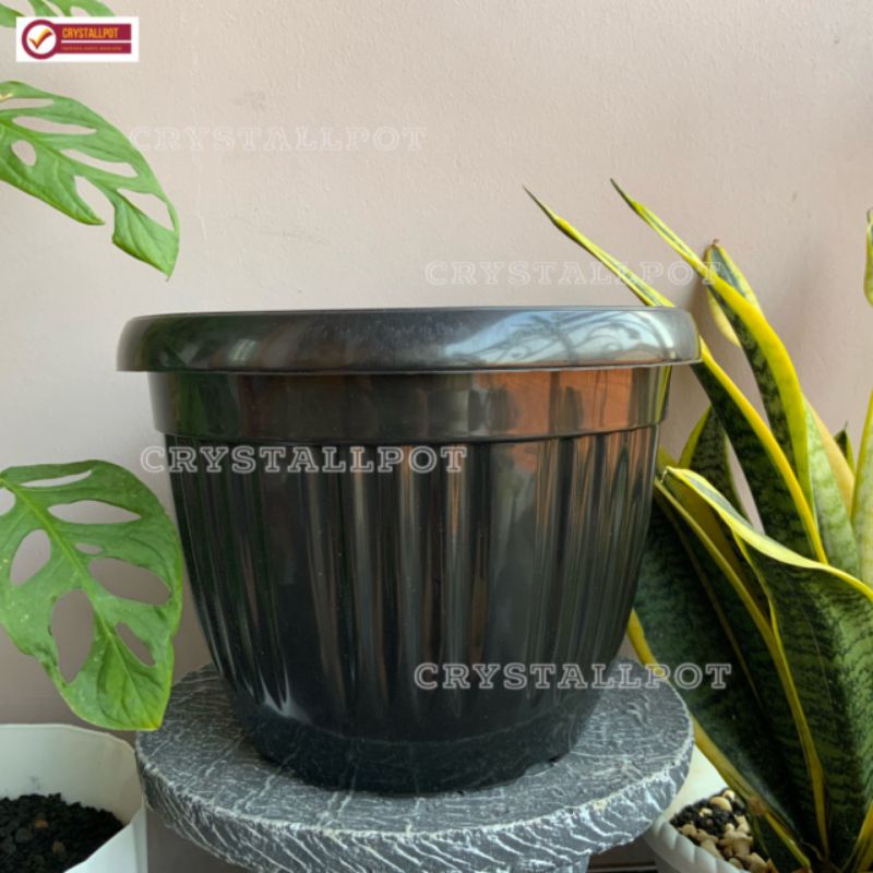 Jual Pot Bunga Tanaman Plastik Grace 30 Hitam Kuping Bahan Tebal ...
