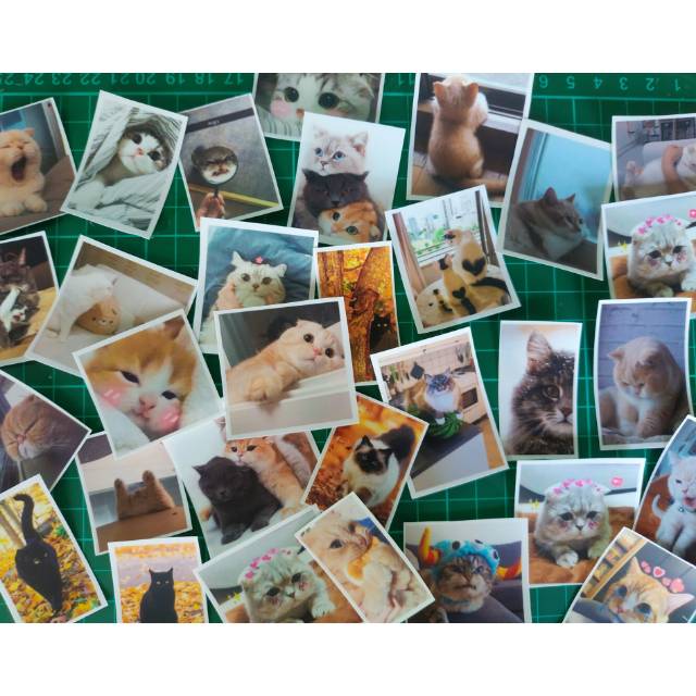 Jual STICKER TEMA KUCING 2 / SCRAPBOOK / 45 PCS | Shopee Indonesia