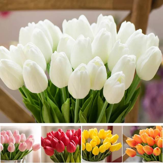 Jual Bunga tulip besar per tangkai | Shopee Indonesia