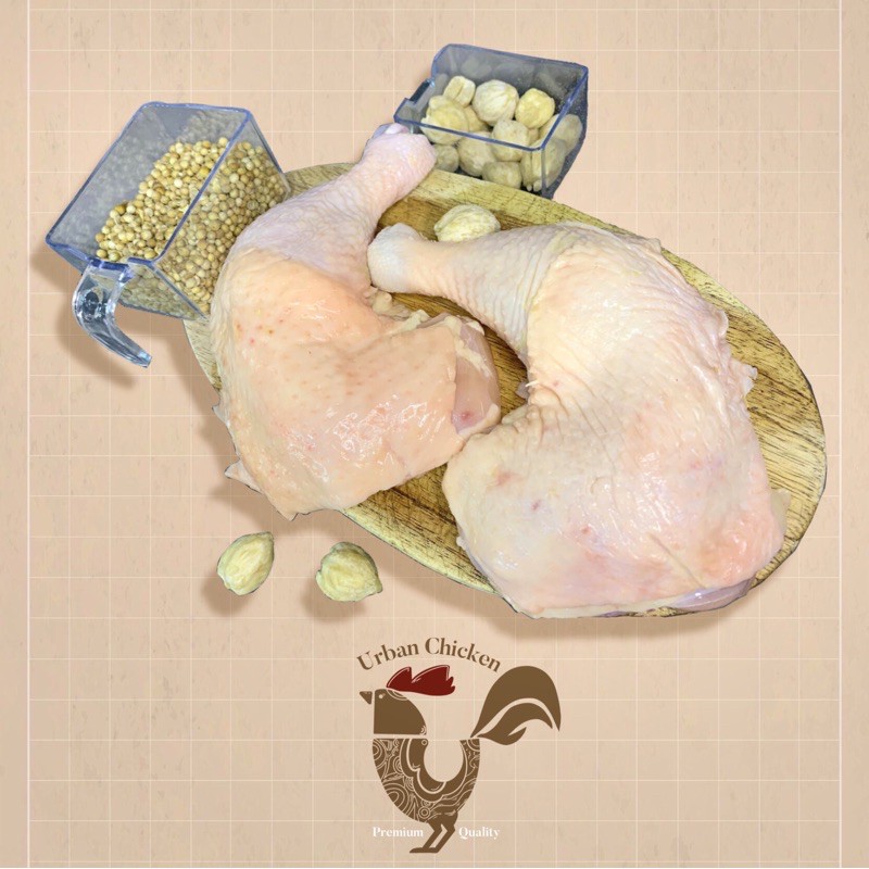 Jual paha ayam broiler frozen utuh beku 500gr 500gram Halal Fresh Paha ...