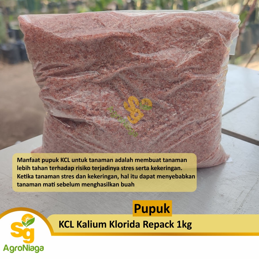 Jual Pupuk Buah KCL Kalium Repack kemasan 1kg | Shopee Indonesia