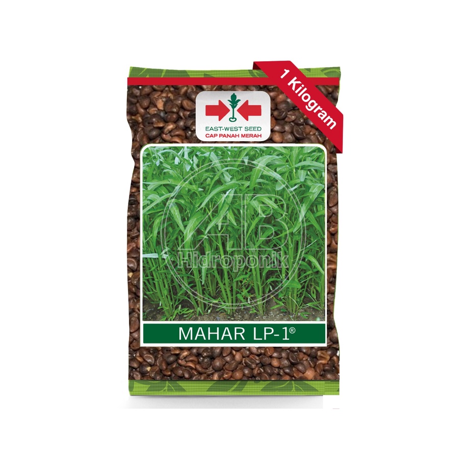 Jual Benih Kangkung Mahar LP-1 LP1 LP 1 Cap Panah Merah Isi 1 Kg ...