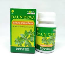 Jual Kapsul Daun Dewa 50 Kapsul DIJAMIN ASLI DAN ORIGINAL PALING MAJUR ...