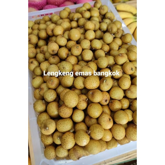 Jual LENGKENG Thailand LENGKENG EMAS Bangkok tanpa ranting | Shopee ...