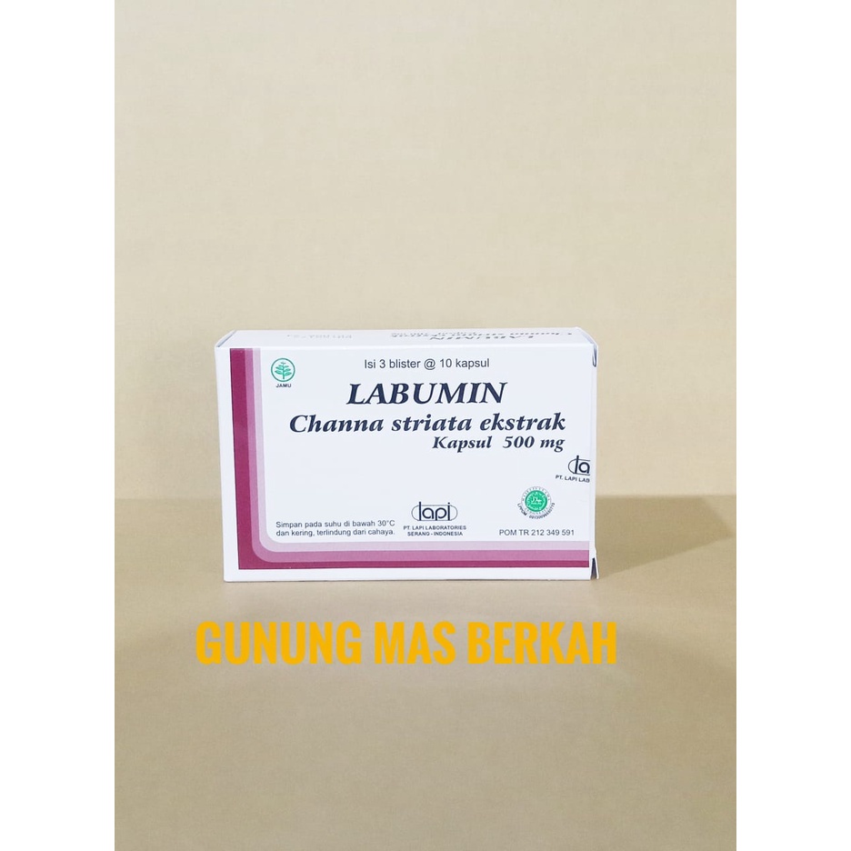 Jual LABUMIN labumin kapsul - Ekstrak ikan gabus untuk meningkatkan ...