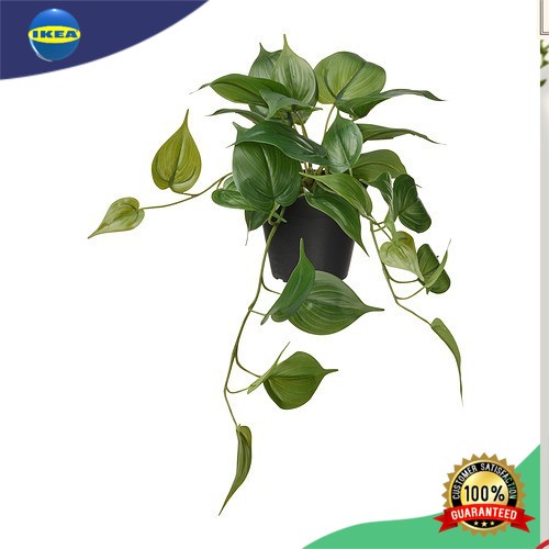Jual Tanaman artifisial dalam pot, dalam/luar ruang golden pothos ...